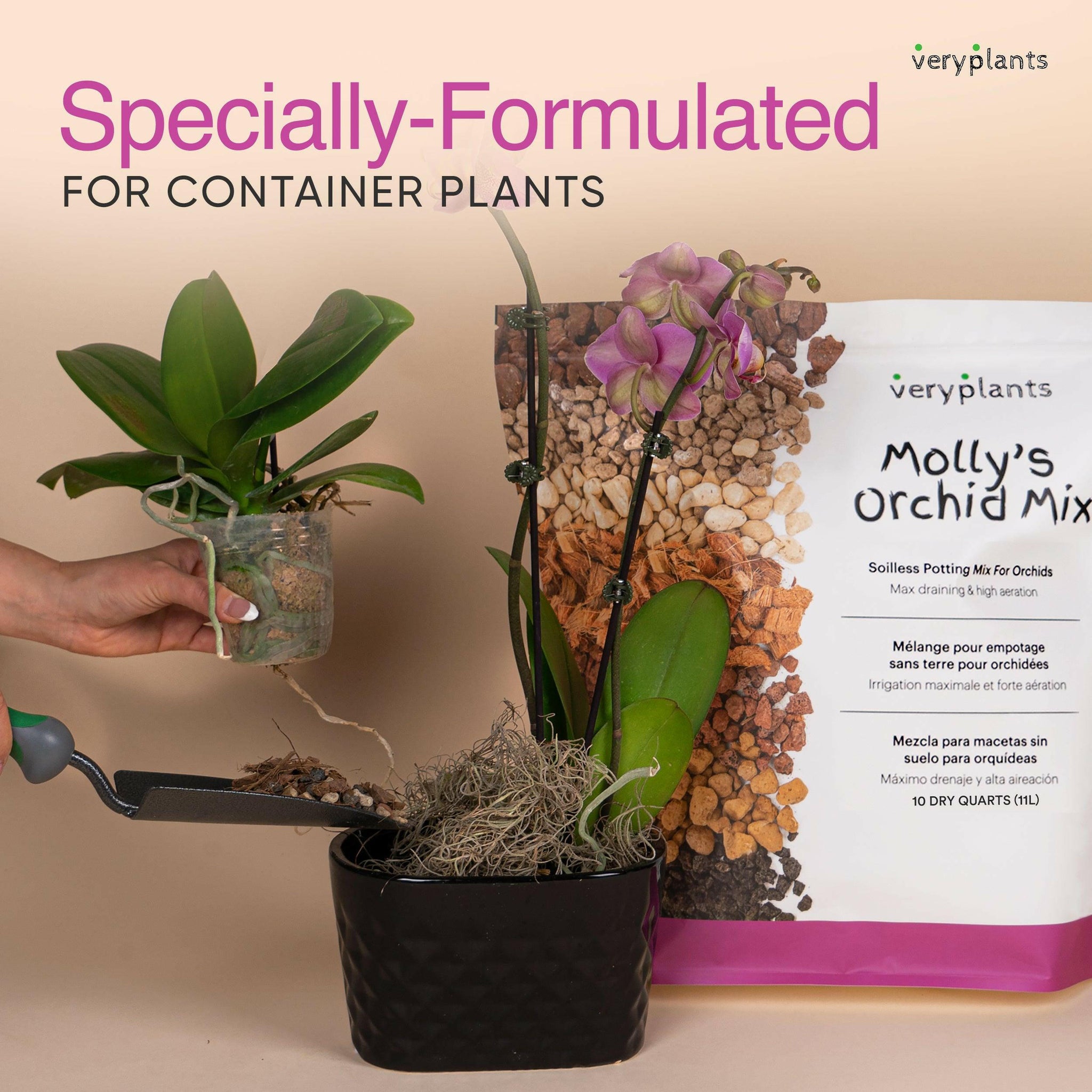 Molly's Orchid Mix - Premium Soilless Orchid Potting Mix - VeryPlants ...